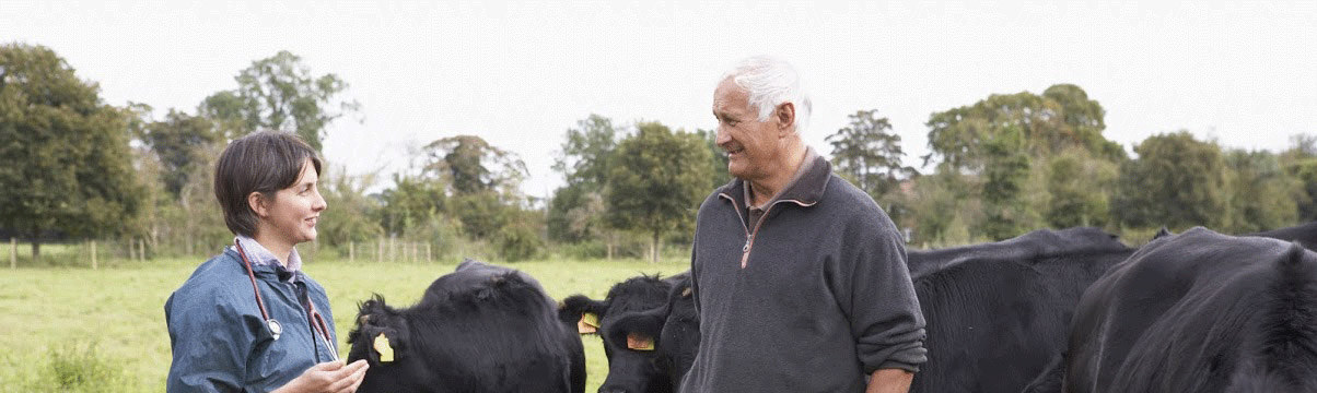 News | Family Business Counsel